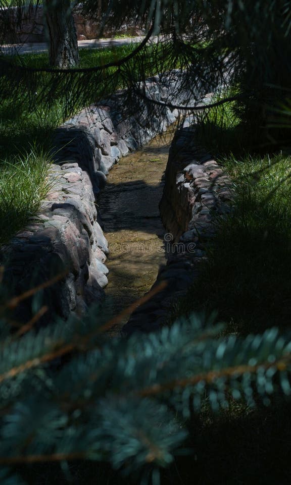 The Water of the Stream Flows between the Tree Branches Stock Image ...