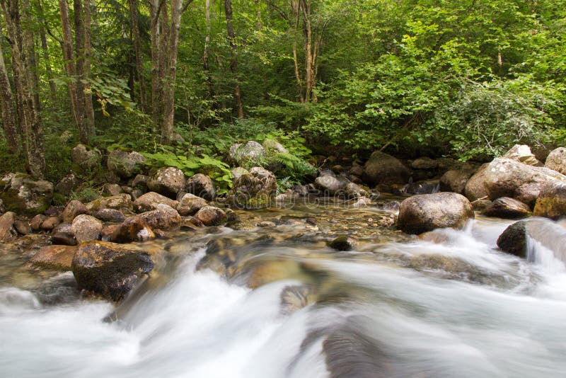 Water stream in forest stock image. Image of rocks, motion - 36303197
