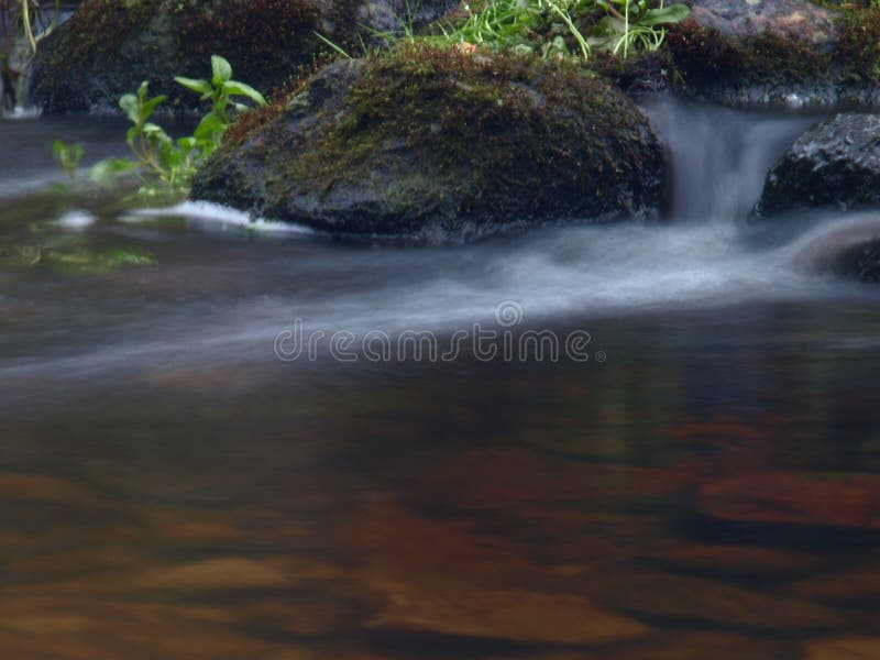 Water Stream in Forest River, Long Exposure Stock Photo - Image of long ...
