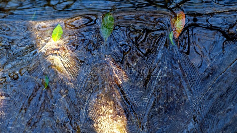 Water Stream, Hampered by Fallen Leaves. Stock Photo - Image of ...