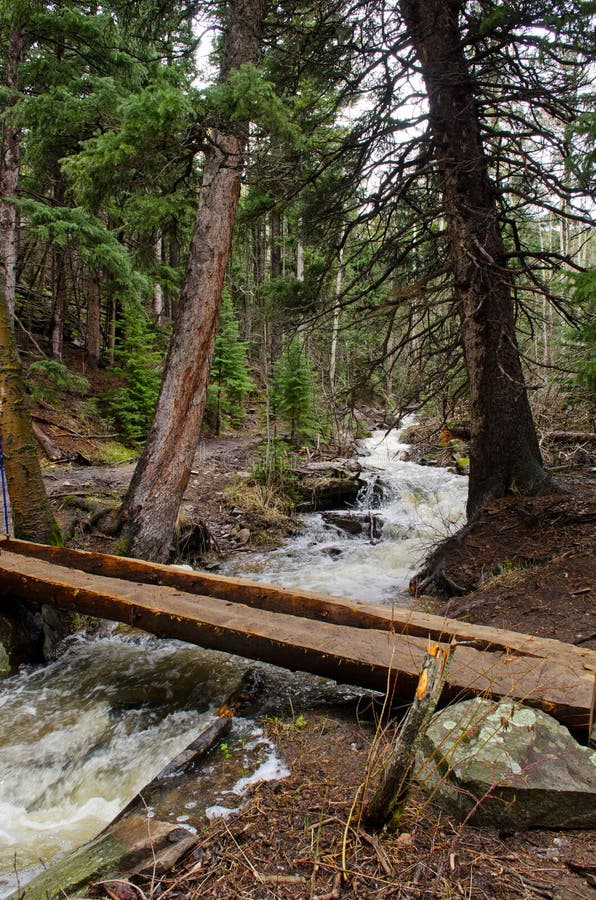 Water Stream and Log Bridge Stock Image - Image of stream, trees: 54810543