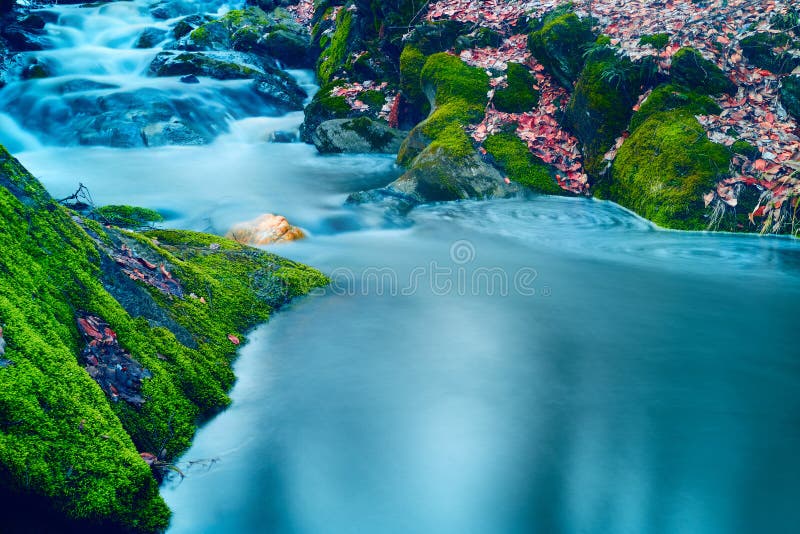 Water Stream Long Exposure and Moss in the Forest Stock Photo - Image ...