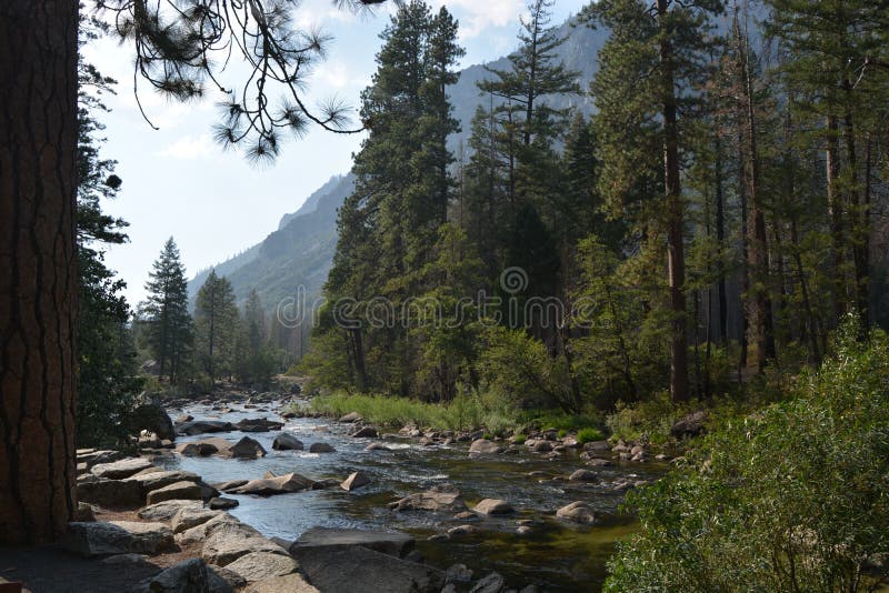 Water Stream in the Middle of Trees with Forested Mountains in the ...