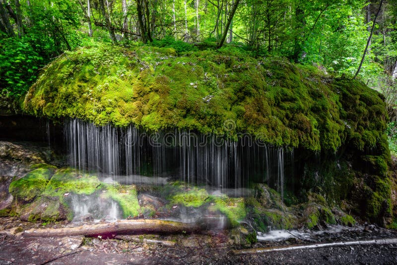 Water Stream Moss Waterfall Forest Scenery Spring Stock Image - Image ...