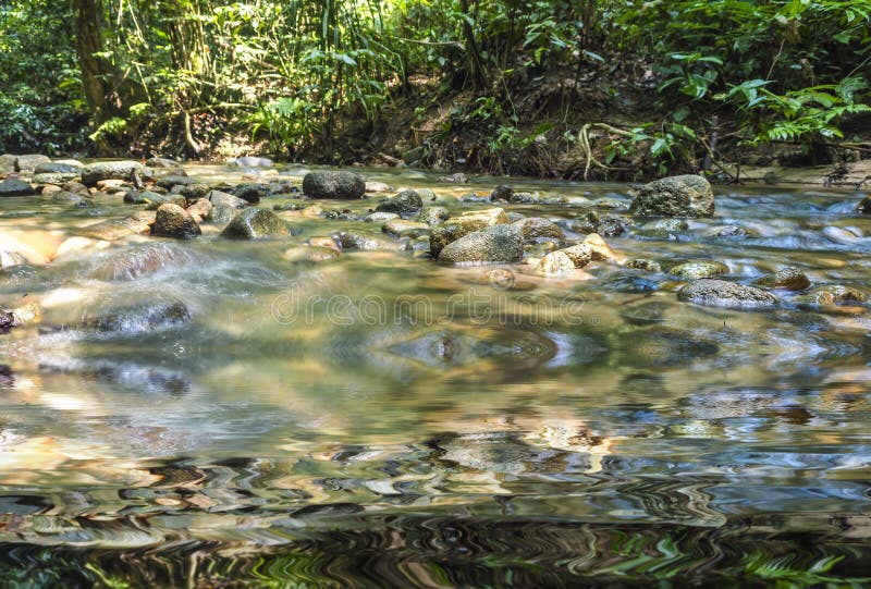 Water stream stock photo. Image of recreation, peace - 45193034