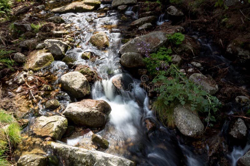 Water, Stream, Nature, Body Of Water Picture. Image: 119412234