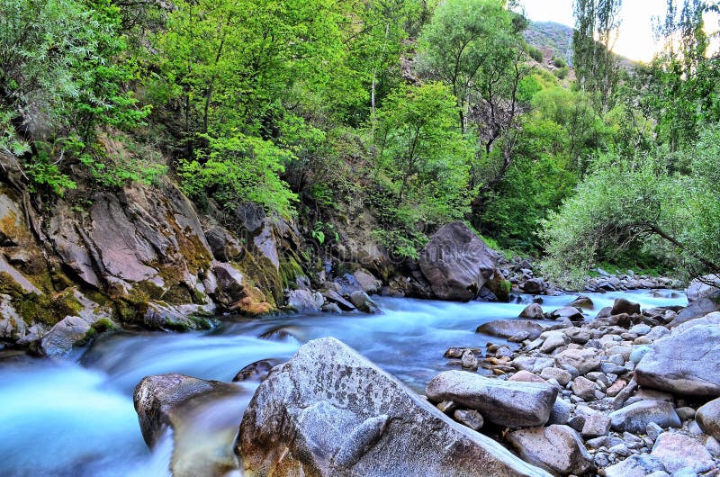 Water, Stream, Nature, Body Of Water Picture. Image: 119412234