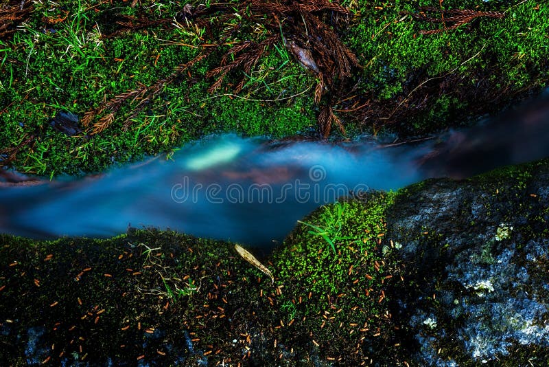 Water stream stock image. Image of vacation, natural - 98007337