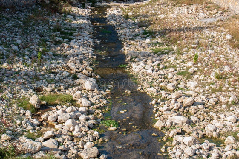 Water stream stock image. Image of pine, tree, dense - 198608487