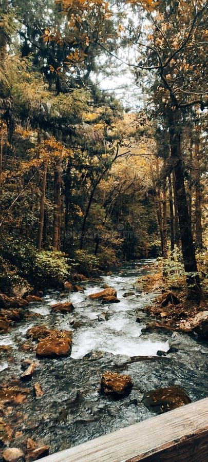 Water stream river stock image. Image of stram, river - 277070771