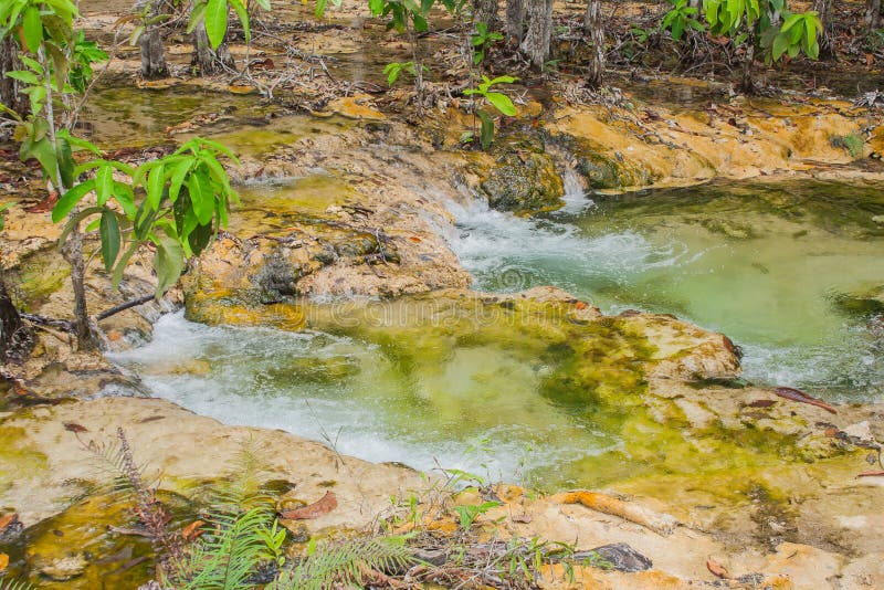 Water Stream or River in Green Natural. Stock Photo - Image of purity ...