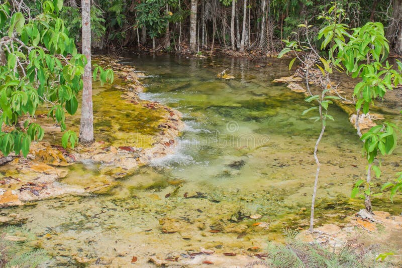 Water Stream or River in Green Natural. Stock Photo - Image of river ...