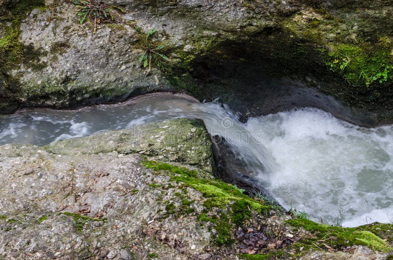 Water stream stock image. Image of creek, moss, foam - 71925047