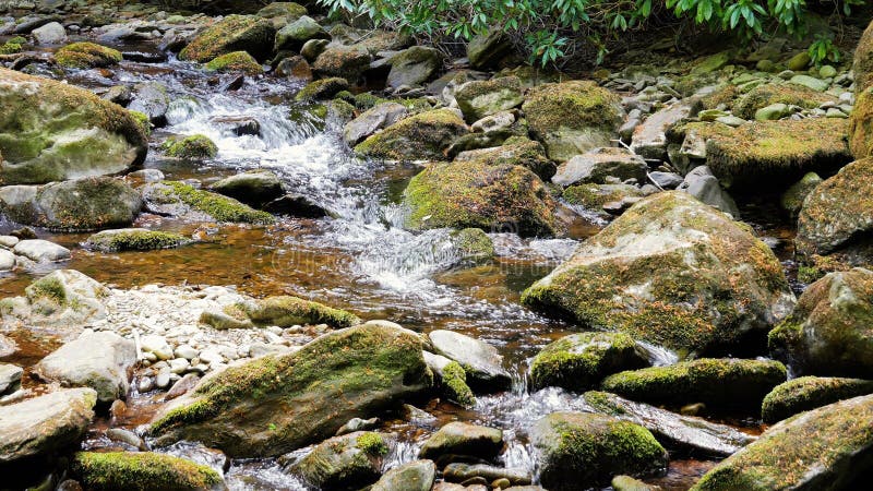 Water stream with rocks stock photo. Image of fluid - 258194098