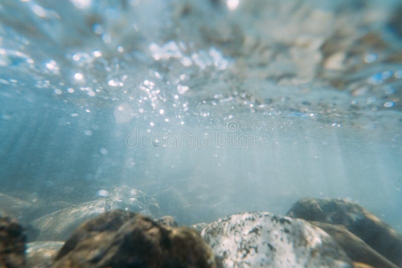Underwater view of river stock image. Image of stream - 247474555