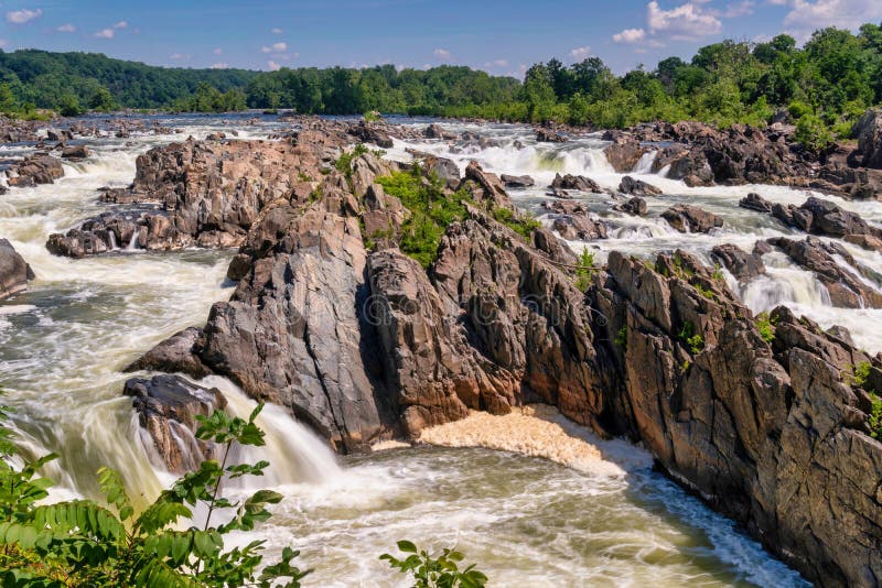 Water Stream with Rocks in it Surrounded by Greenery Stock Photo ...