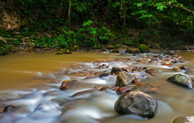 Water stream stock photo. Image of spring, quiet, shutter - 31642812