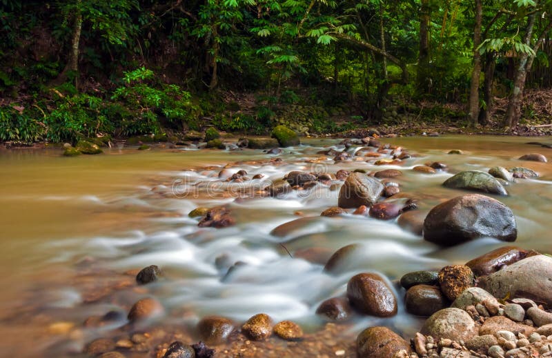Water stream stock photo. Image of rocks, rocky, conservation - 31642850