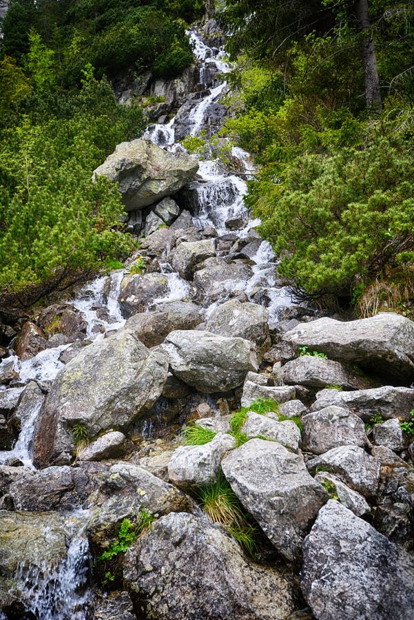 Water stream stock photo. Image of travel, stream, summer - 88501892