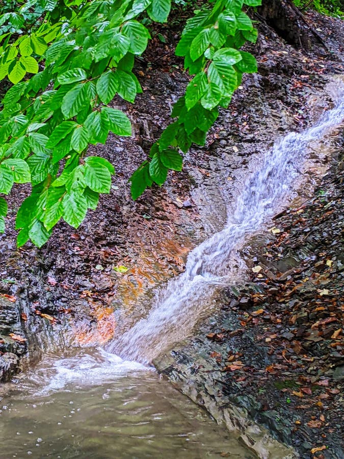 Water Stream of Waterfall Cascade in Nature Forest Stock Photo - Image ...