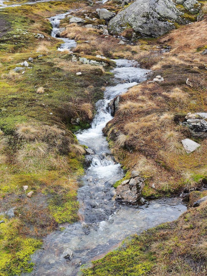 Water, Stream, Wilderness, Nature Reserve Picture. Image: 119960249