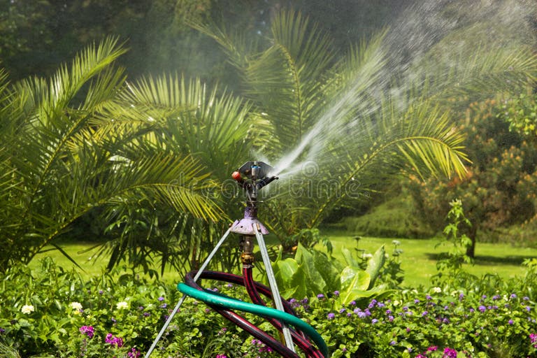 Water Streamer stock photo. Image of plants, garden, flowers - 55609008