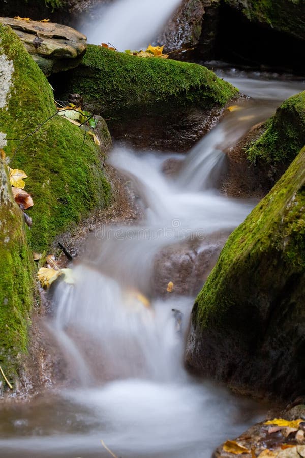 Water streaming stock image. Image of falling, forest - 11593489
