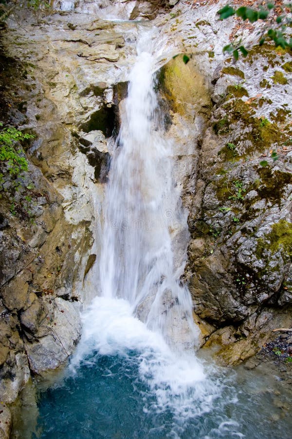 Water streaming down stock photo. Image of green, leaf - 11202728