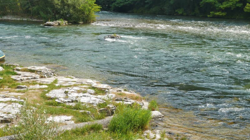 The Water Streaming in the Nature Reserve in the Forest.geology Shot ...