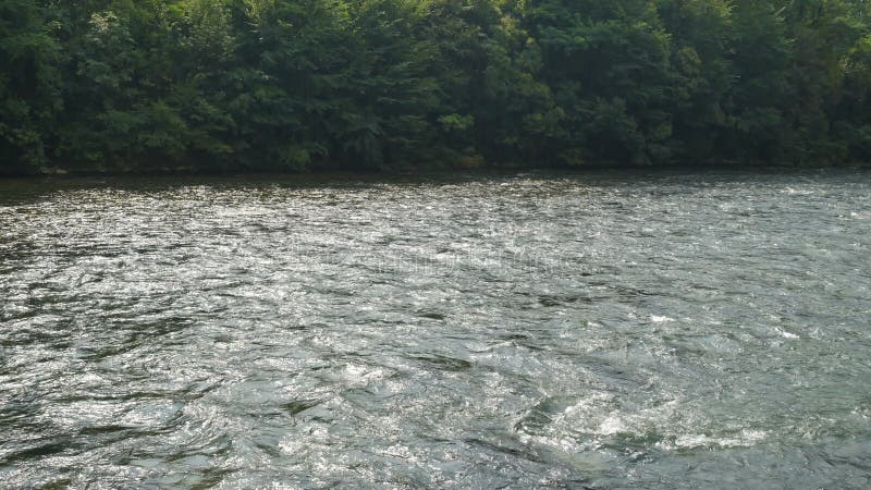 The Water Streaming in the Nature Reserve in the Forest.geology Shot ...