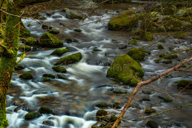 Water Streaming through the Rocks Downhill Creating a Small Waterfall ...