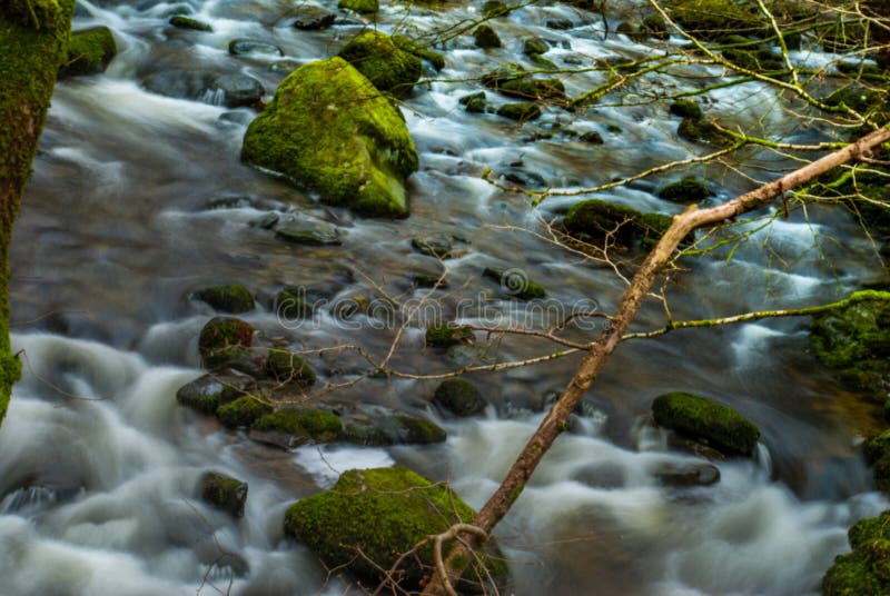 Water Streaming through the Rocks Downhill Creating a Small Waterfall ...