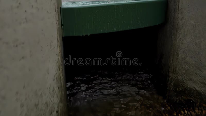 Water Streaming through Verdant Plastic Drainage Grate, Revealing Urban ...