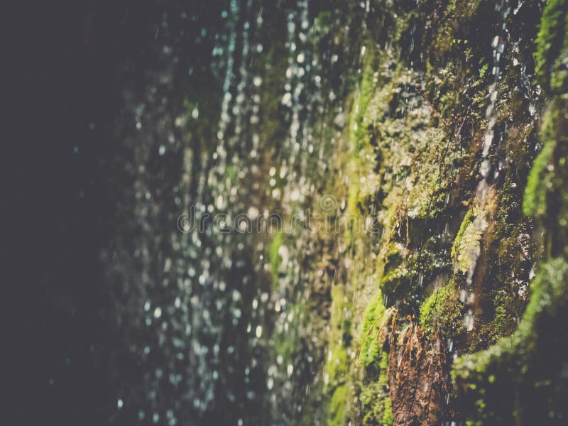 Water Trickling Down a Moss Covered Rock Wall Stock Image - Image of ...