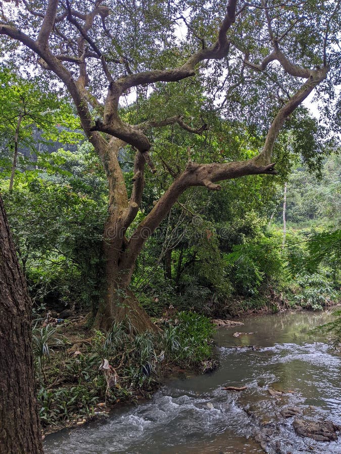 Water Streams are Flowing in the Rainy Season Stock Image - Image of ...