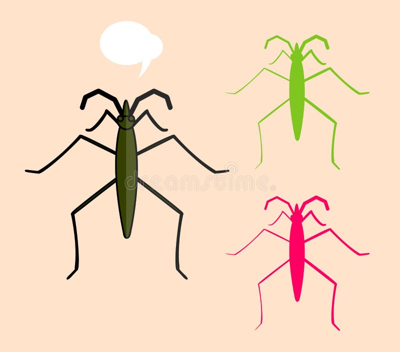 Water Strider Stock Illustrations – 192 Water Strider Stock ...