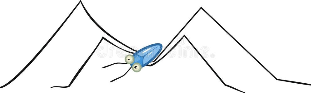 Water Strider Stock Illustrations – 192 Water Strider Stock ...