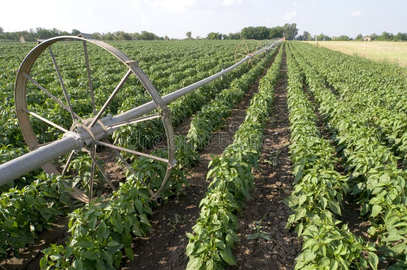 Water supply stock photo. Image of agriculture, land - 10263714
