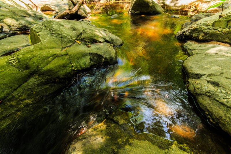 Water supply stock image. Image of forest, clear, natural - 58543267