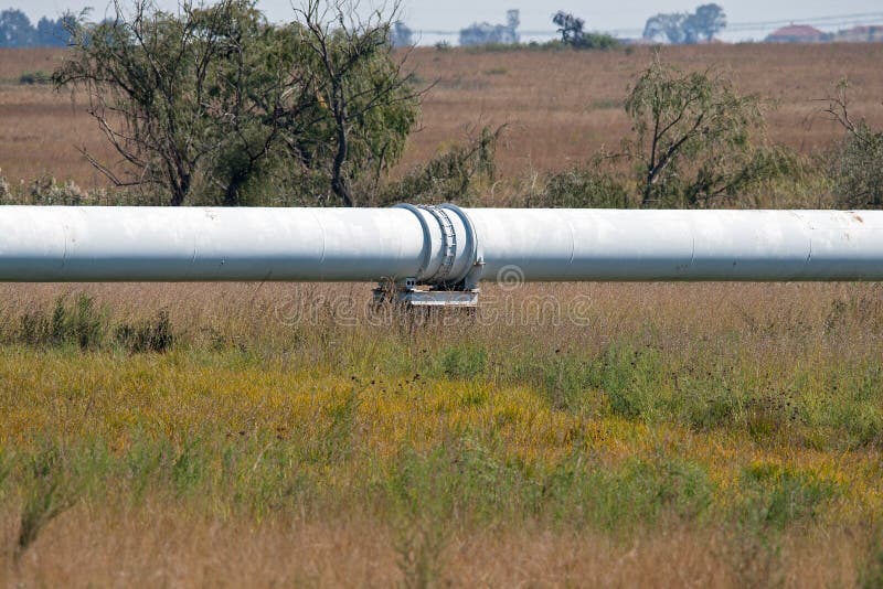 WATER SUPPLY PIPE stock photo. Image of environment, vegetation - 93792628