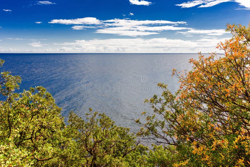 Water Surface Blue Sea and Trees Stock Photo - Image of landscape ...
