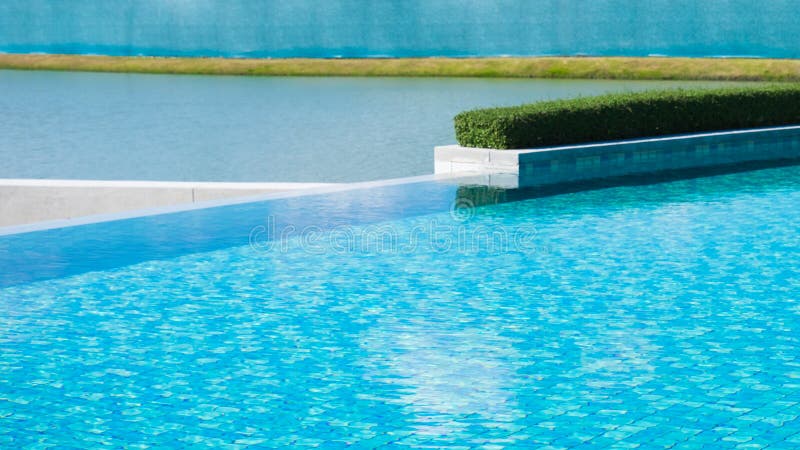 Shrubs Around a Clean, Simple Patio Covered with Tiles Near the House ...