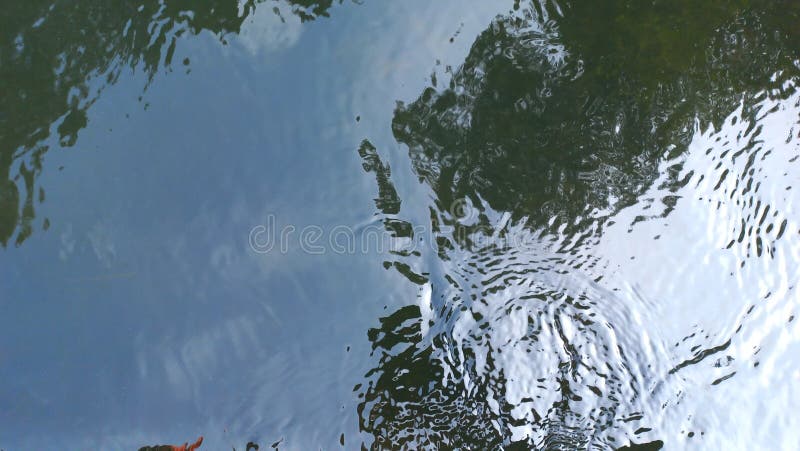 Water surface lake stock image. Image of surface, ripples - 282772713