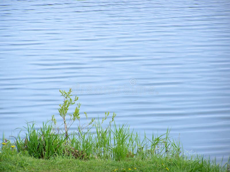 Water surface of the lake stock image. Image of beauty - 139448451