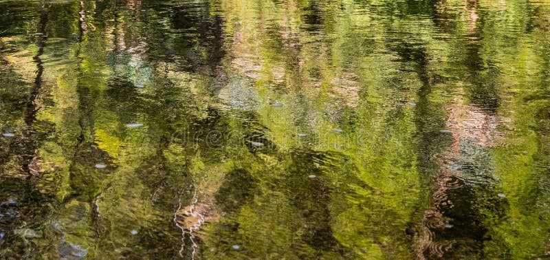 Water Surface that Mirrors Trees and Grass, Abstract Background Stock ...