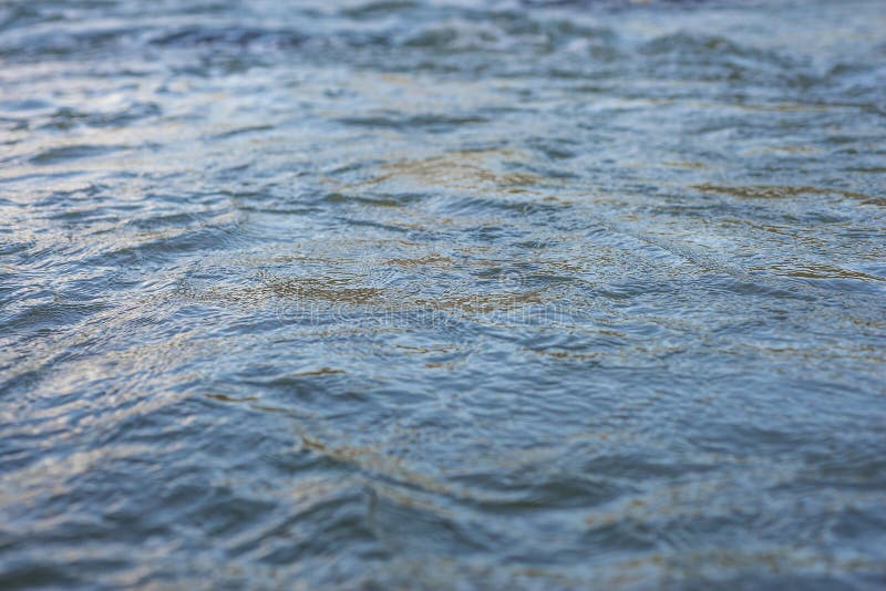 Water Surface from the Perspective of the Eye Level. in the Even Stock ...