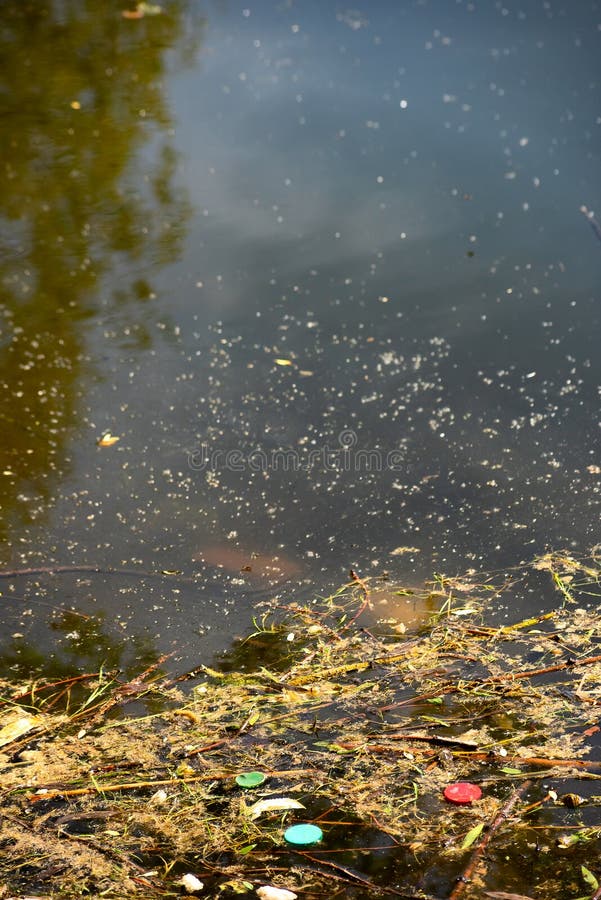 Water Surface with Plastic Debris Stock Image - Image of disaster ...