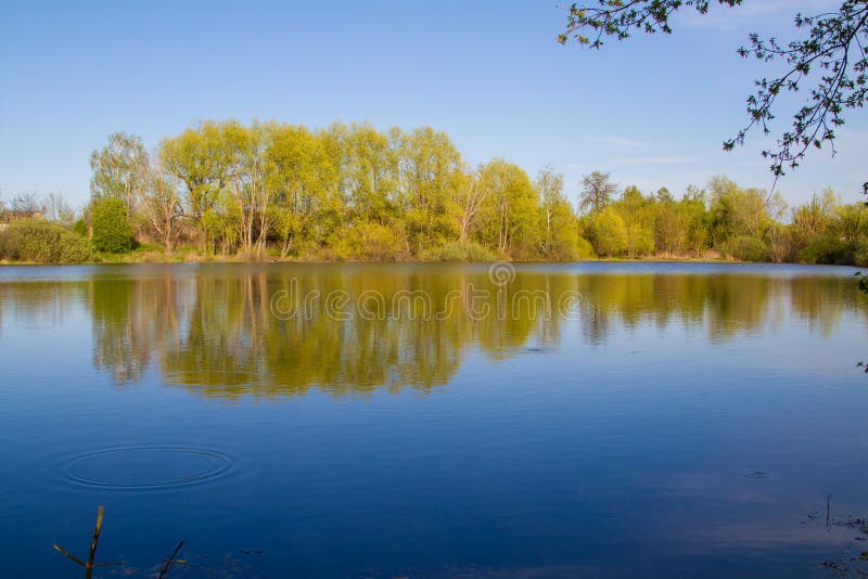 Water surface stock image. Image of lake, banks, surface - 65401173