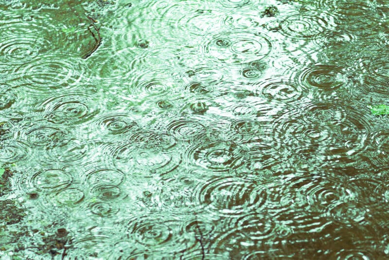 Water Surface with Rain Texture - Circles and Bubbles Texture Stock ...