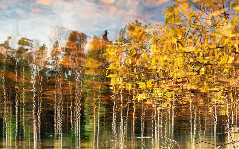 Water Surface with Reflection of Autumn Trees. Background Stock Photo ...